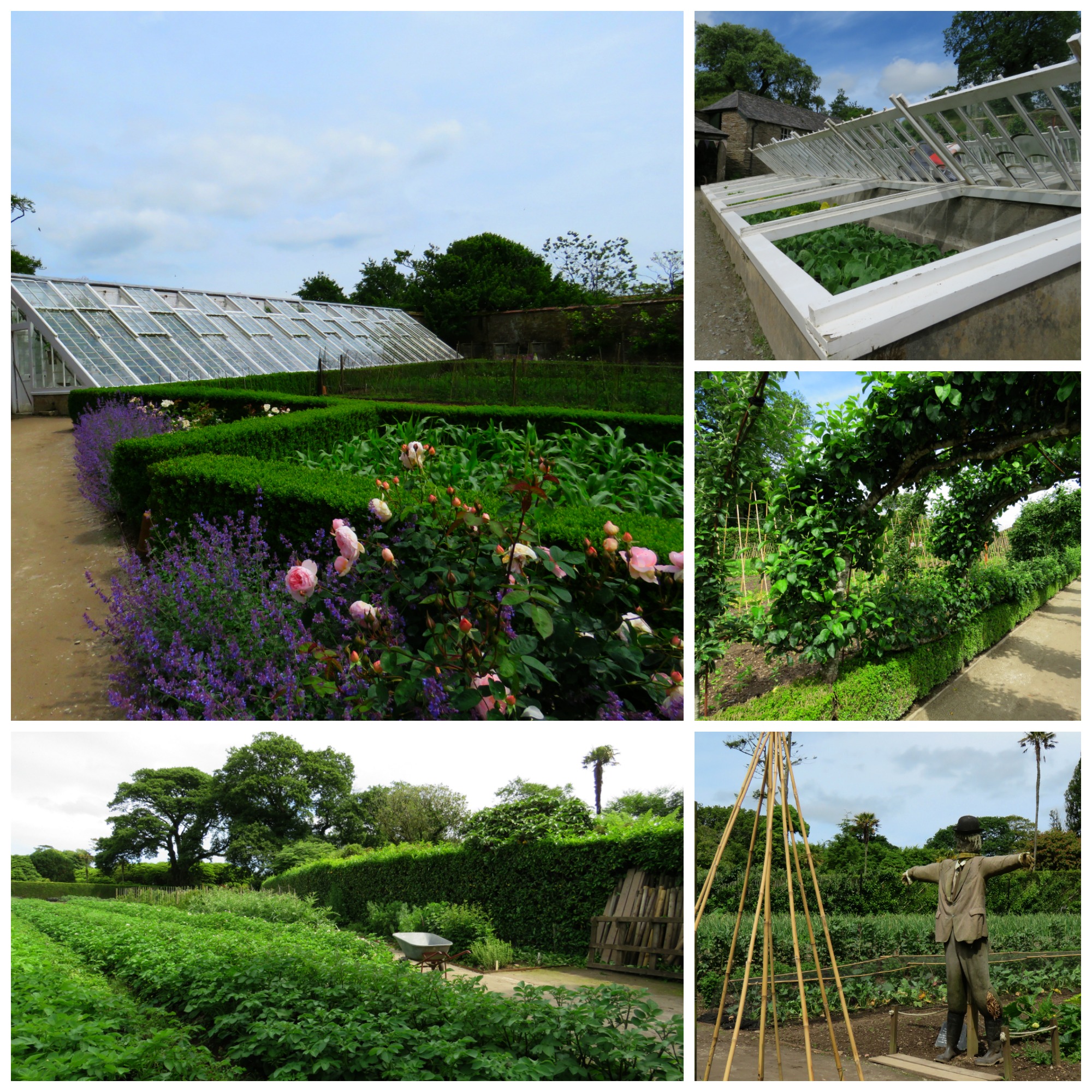 Travelogue : Lost and Found – Creative Gardener